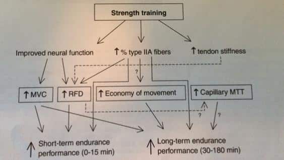 Should You Incorporate Strength Training Into Your Bwr Preparation